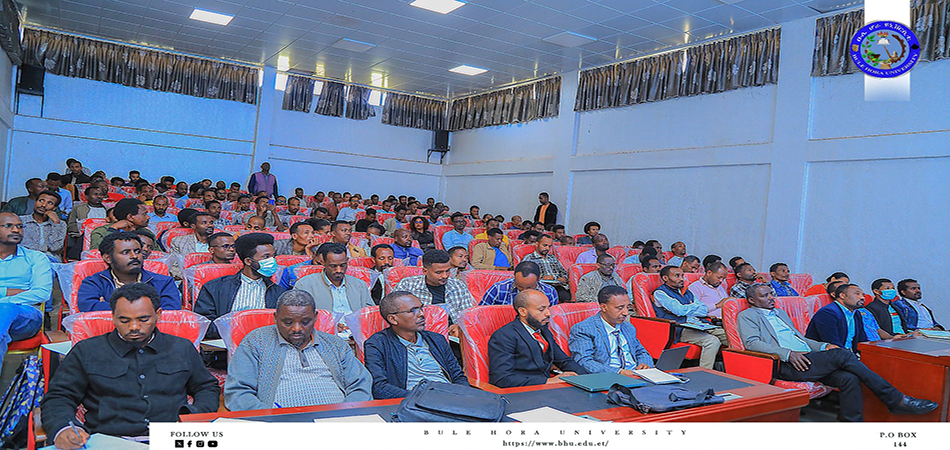 Bule Hora University